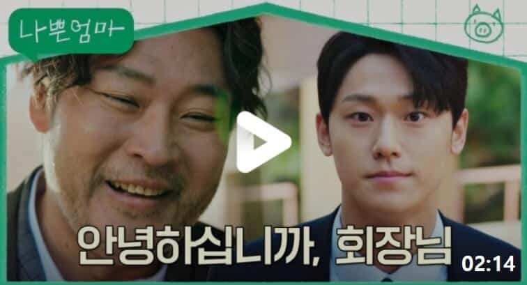 나쁜엄마 재방송 기본정보 등장인물 넷플릭스 보러가기 회차정보 시청률 4월 26일 첫방송 미니 스토리라인