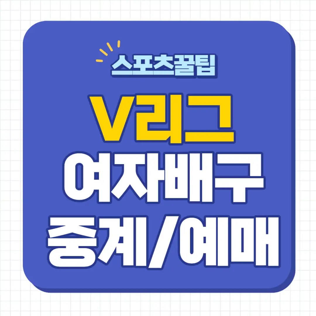 24 25 V리그 중계 정규리그 경기일정 2024 2025 프로배구 중계 정규리그 예매 방법 정보 Kovo컵 순위 여자부 조별