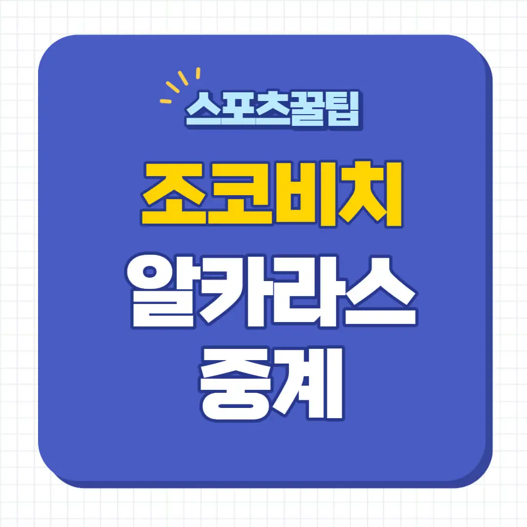 조코비치 알카라스 중계 Atp 파이널스 준결승전 호주 프랑스 윔블던 Us오픈 8강 4강 결승전 우승 상금 승자예측 분석